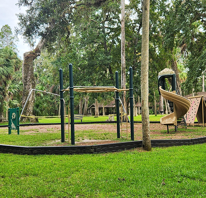 Even playground equipment looks more magical when surrounded by palm trees and Spanish moss. Childhood as it should be.