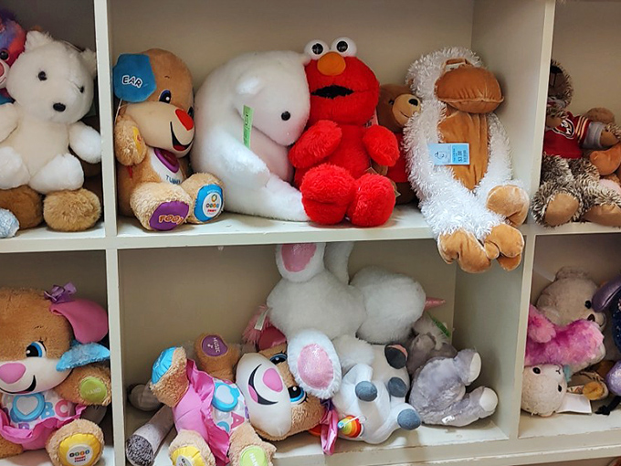 Elmo and friends waiting to be adopted into loving homes – these gently-hugged plushies have plenty of cuddles left to give.