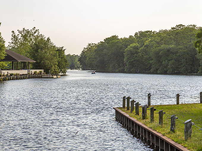 The Pocomoke River flows like liquid amber between green shores&mdash;a peaceful waterway where time seems to slow and nature takes center stage.