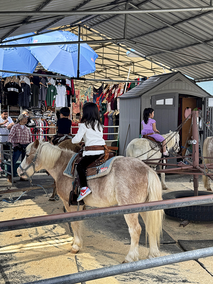 Pony rides bring childhood magic to market day, where gentle creatures create smiles that money absolutely cannot buy.