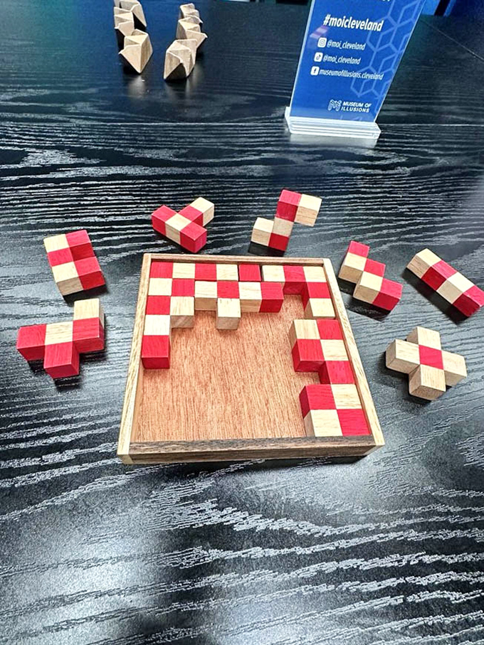 Brain teasers and wooden puzzles that look simple until you try them. Suddenly rocket science seems easier!