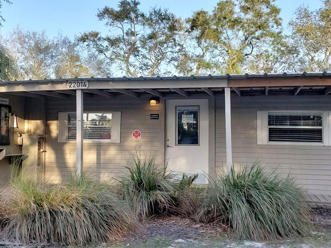 The ranger station: where helpful humans translate nature's rulebook and occasionally warn you about that one raccoon with attitude.
