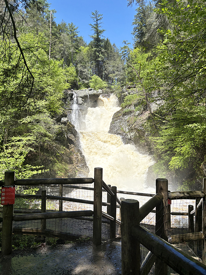 Raymondskill Falls roars with spring runoff, nature's way of saying "this is what happens when I turn the volume to maximum."