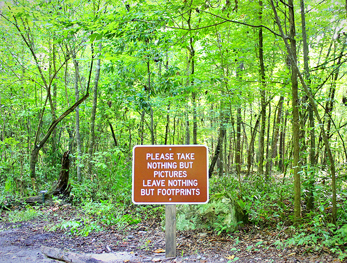 "Take nothing but pictures, leave nothing but footprints." Nature's version of "please bus your own table" reminds us to preserve this wonder.