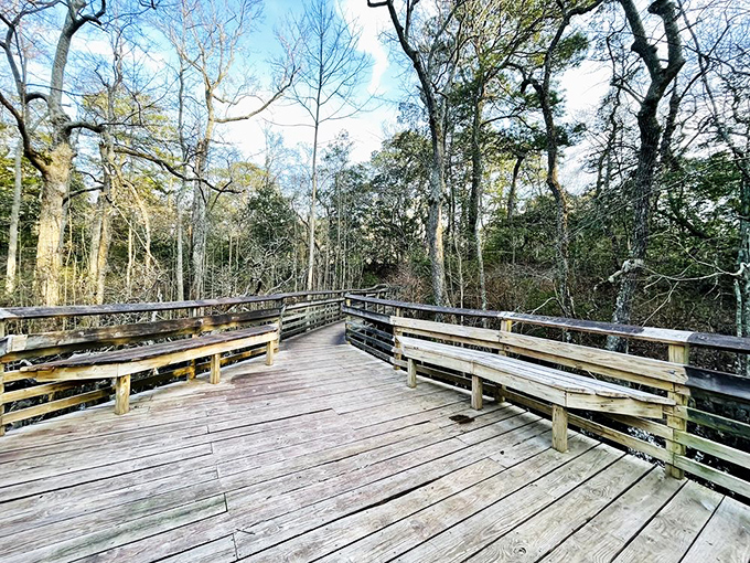 This wooden observation deck invites weary hikers to pause and ponder&mdash;nature's version of a living room with the world's best picture window. 