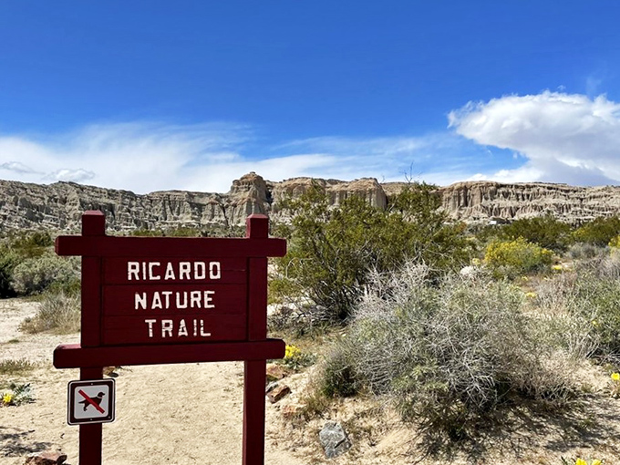 Ricardo Nature Trail: gateway to wonder. This well-marked path leads to some of the park's most photogenic formations and surprising desert ecosystems.
