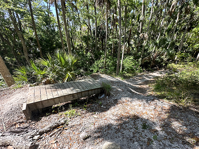 Nature trails that don't require oxygen tanks or mountain gear&mdash;just comfortable shoes and an appreciation for Florida's wild side.