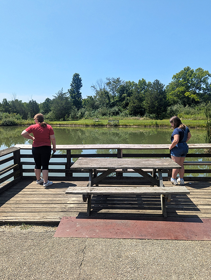 Contemplation deck with a view&mdash;where visitors ponder life's big questions while nature quietly provides all the answers.