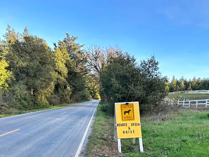 "Caution: Horses" &ndash; because the best scenic routes are shared with both horsepower under the hood and the four-legged variety enjoying country life.