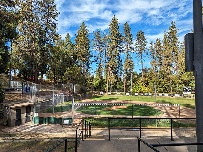 Baseball diamonds are forever in Placerville, where America's pastime meets Sierra foothill beauty. The dugouts have sheltered future Little League legends.