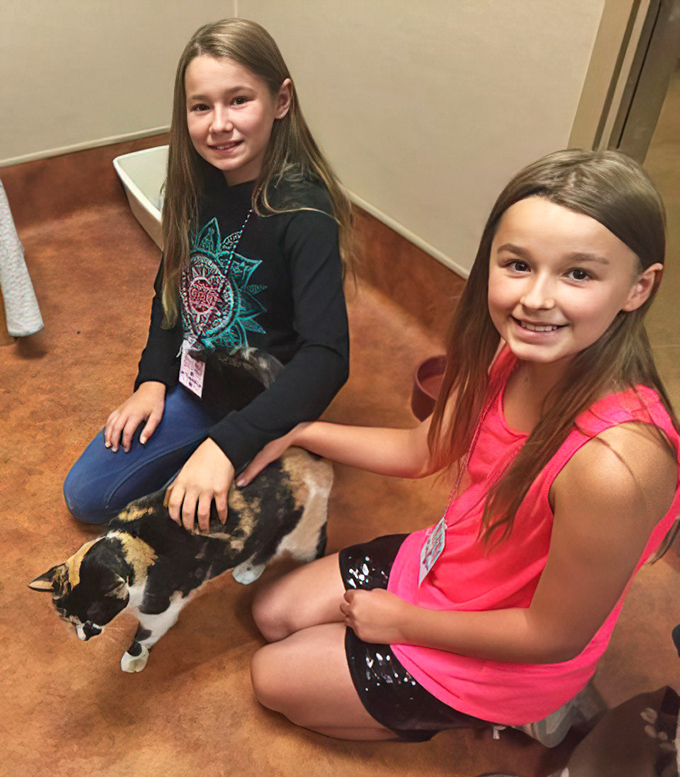 The real beneficiaries of your shopping spree&mdash;adorable shelter pets getting some human love. This calico cat might be thinking, "Thanks for buying that lamp I can't wait to knock over."