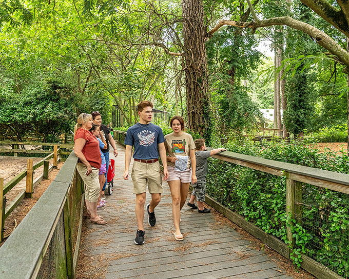 The Salisbury Zoo's wooden walkways guide visitors through lush greenery where wildlife encounters feel like stepping into a miniature Amazon adventure.