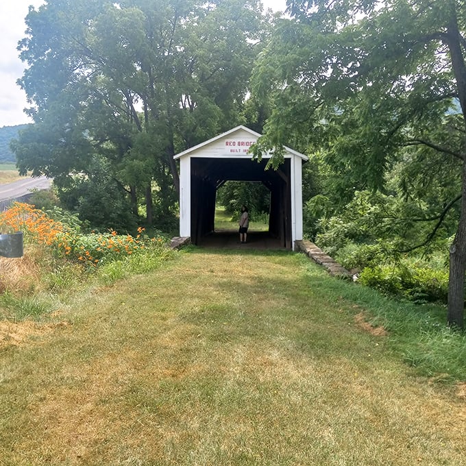 Summertime serenity as the bridge frames a perfect rectangle of green countryside beyond its wooden tunnel.