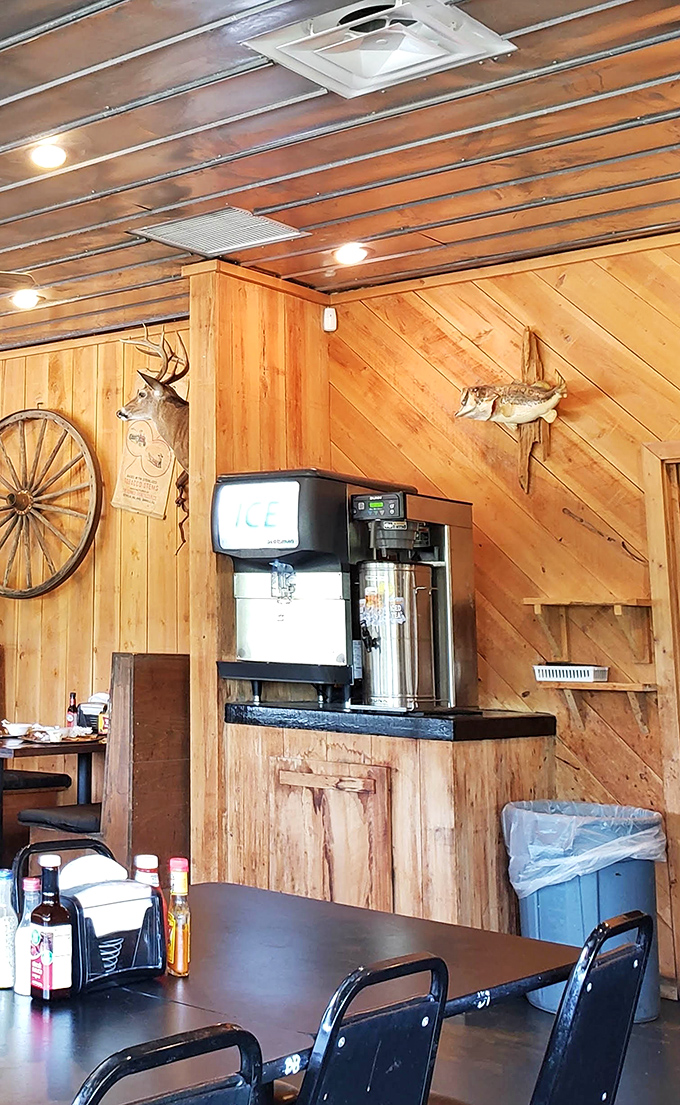 Even the drink station has character &ndash; that mounted fish watching over your sweet tea refill is pure South Georgia charm.