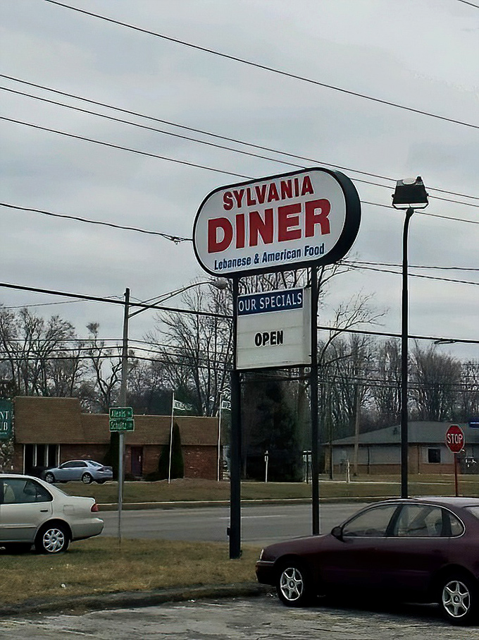 "Lebanese & American Food"&mdash;the sign promises a culinary duet that plays out deliciously on plates across Sylvania.
