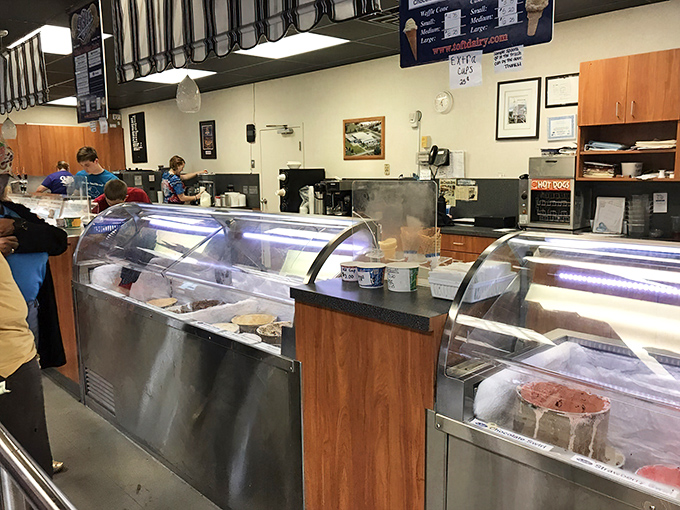 Behind the glass lies a rainbow of frozen possibilities, each flavor patiently waiting its turn to blow someone's mind.