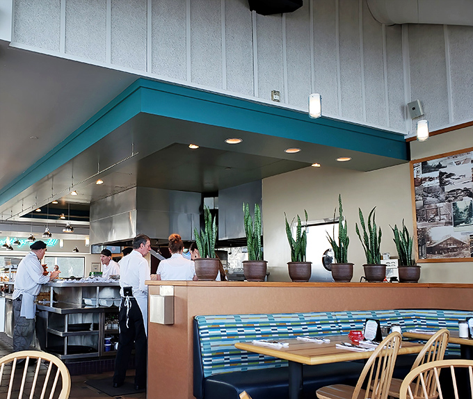 Where culinary professionals transform the morning's catch into the afternoon's joy. Those snake plants aren't just decor—they're silent witnesses to seafood mastery.