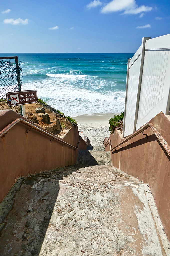 The descent to paradise comes with concrete steps and an ocean soundtrack. Terramar's beach access might test your knees, but rewards your soul.