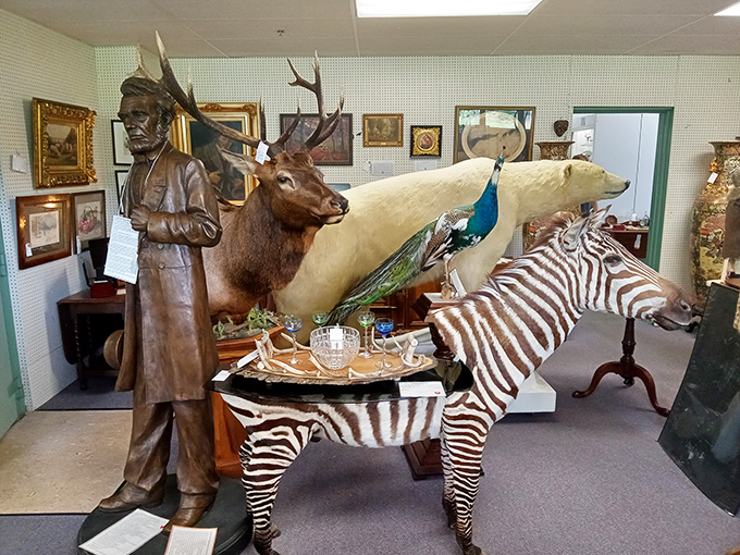 Taxidermy that turns shopping into a wild safari. That zebra isn't just mounted&mdash;it's serving as the world's most exotic side table in retail history.