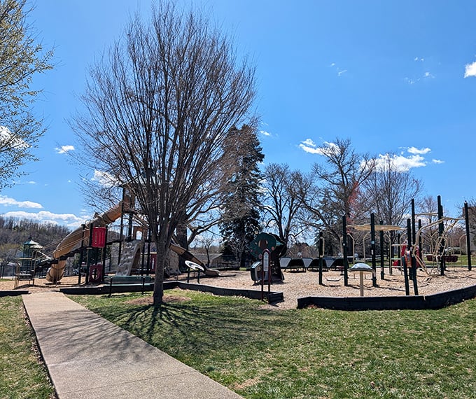 Another slice of park paradise where benches and trees conspire to make you slow down and breathe.