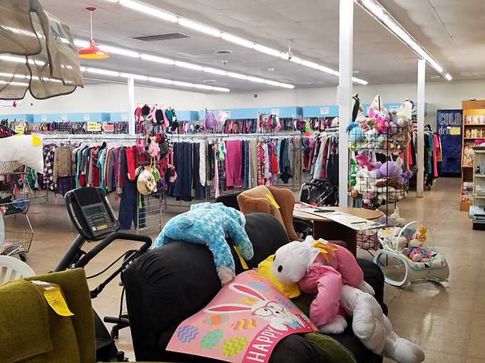 Stuffed animals and exercise equipment share floor space in delightful randomness &ndash; the thrift store equivalent of a surprising flavor pairing that somehow works.