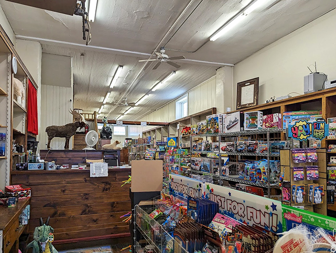 From board games to stuffed animals, this playroom paradise proves that before batteries were required, imagination powered the best toys.
