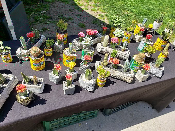 Succulents in creative containers prove that even plants deserve a second chance at making a fashion statement. Desert chic at its finest.