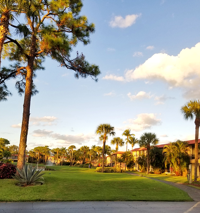 Golden hour transforms ordinary buildings into watercolor paintings. Florida's daily reminder that retirement was the right decision.