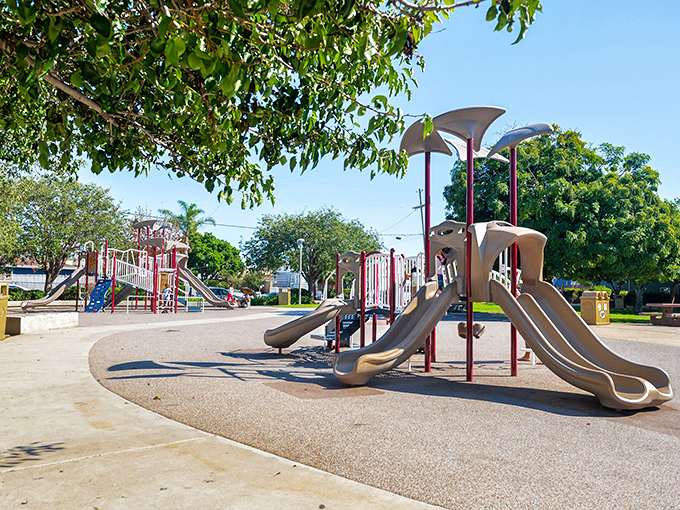 Families love Teeple Park&rsquo;s colorful playground in Imperial Beach, where kids climb, slide, and play under shady neighborhood trees.