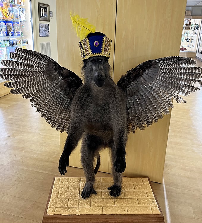 This fellow's been hanging around longer than your brother-in-law at Thanksgiving dinner.