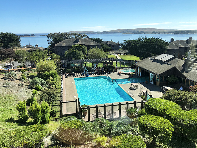 The Inn at the Tides doesn't just offer a pool &ndash; it offers the rare opportunity to swim while simultaneously watching actual tides roll in.