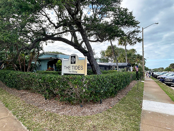 The Tides restaurant, where that magnificent oak tree has probably witnessed more marriage proposals and anniversary celebrations than a Vegas chapel.