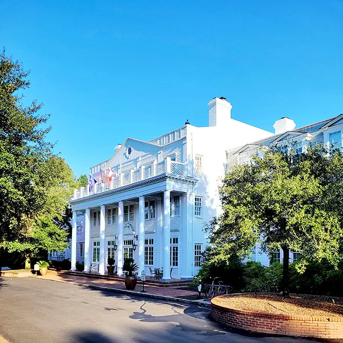 The Willcox Hotel stands as Aiken's grand dame, her white columns and perfect proportions a testament to timeless elegance and Southern hospitality.