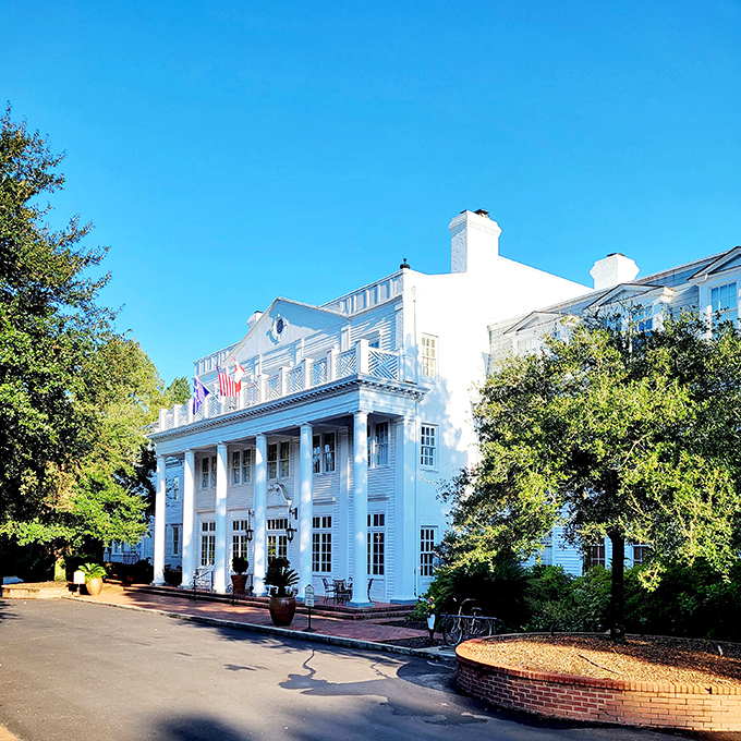 The Willcox Hotel stands as Aiken's grand dame, her white columns and wraparound porches whispering tales of bygone elegance that never truly faded.