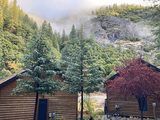 Log cabins nestled against misty mountains &ndash; where John Muir's spirit whispers and Instagram influencers frantically adjust their camera settings.