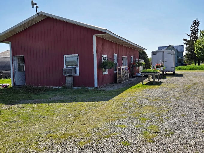 Thurman's Farm Market: where tomatoes still taste like your grandmother remembers and corn comes with dirt on it.