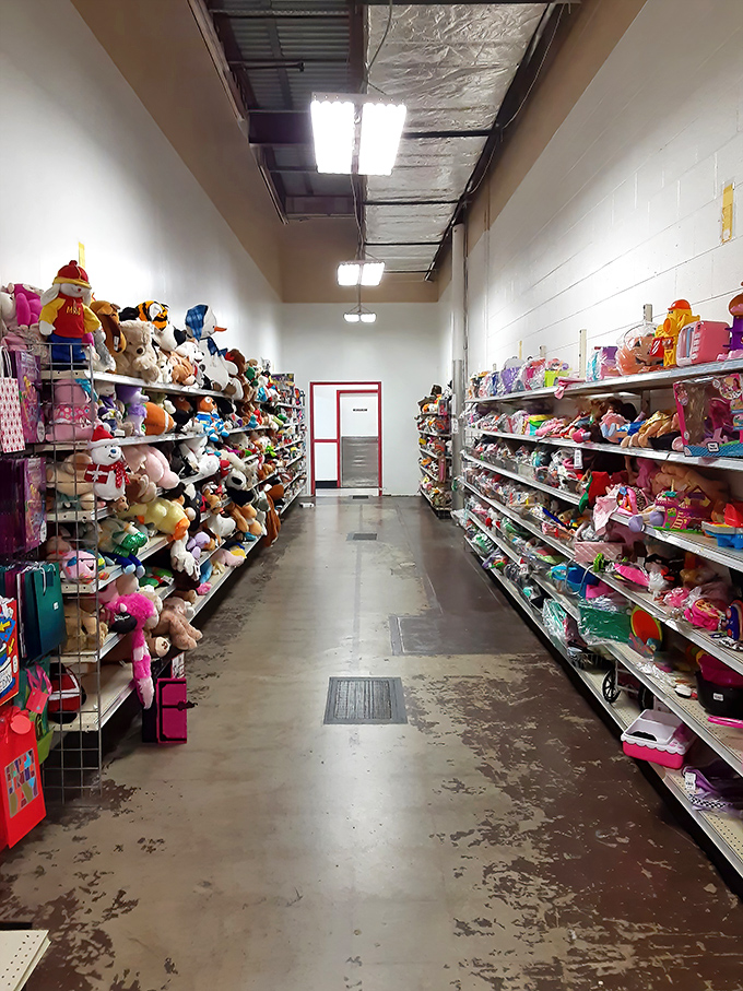 The stuffed animal corridor: where childhood companions patiently wait for their next adventure. Some look suspiciously like they've seen things. 