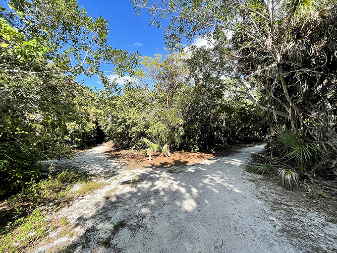 Nature's choose-your-own-adventure &ndash; where trails diverge into the dense coastal hammock, promising discoveries around every sandy bend.