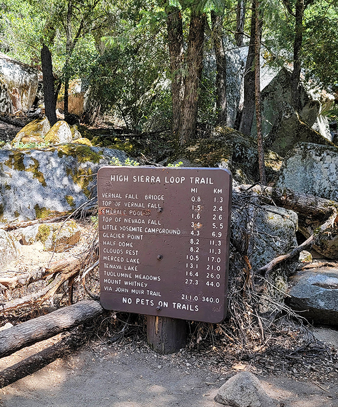 Trail maps that make hiking sound like a casual stroll until you see those elevation numbers in black and white.