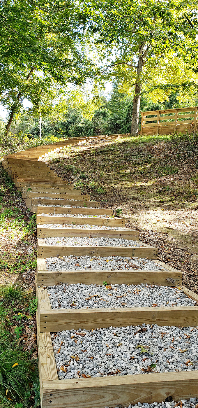 Wooden steps leading to woodland wonders &ndash; your stairway to heaven starts right here today.