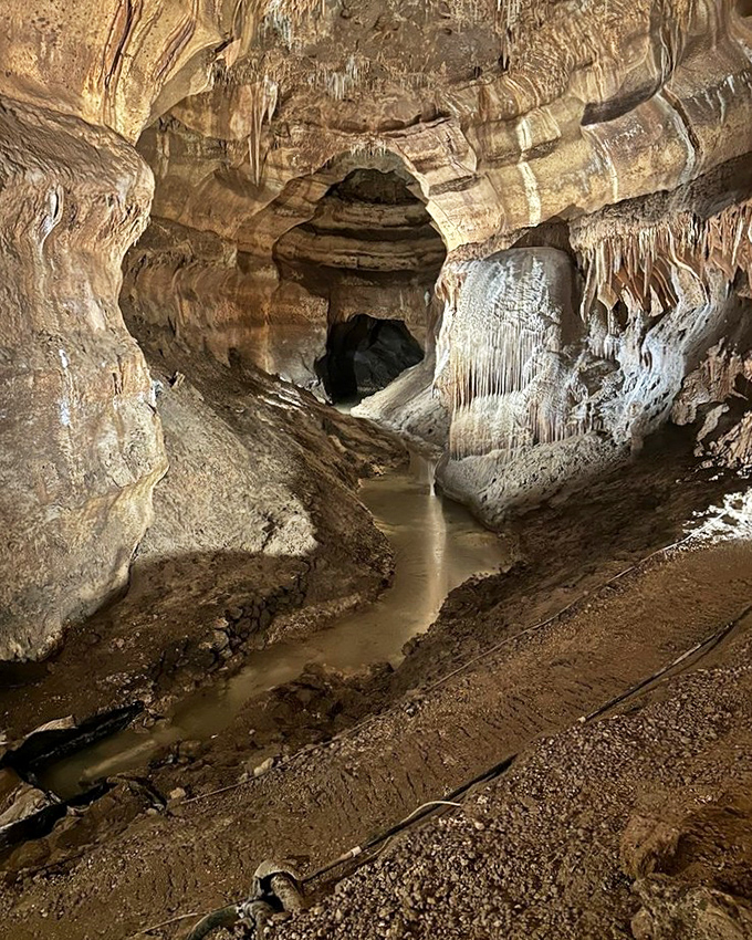 The underground river continues its patient sculpting work. This flowing water is the artist that's been creating this masterpiece one mineral deposit at a time.