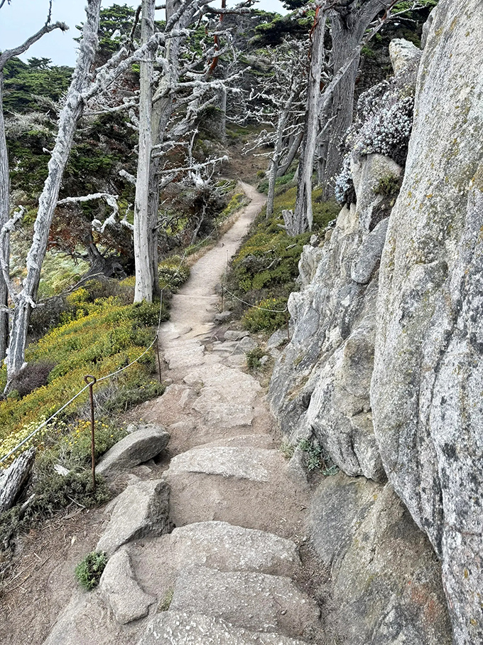 The path narrows between ghostly sentinels and rugged rock faces, creating a natural hallway that feels like walking through time itself.