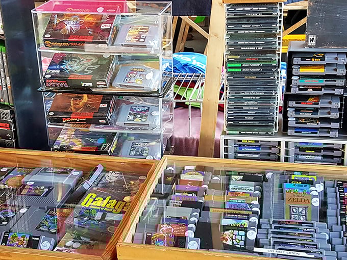 Gaming nostalgia in plastic cartridge form—each display case holds childhood memories from the days when blowing into cartridges fixed everything.