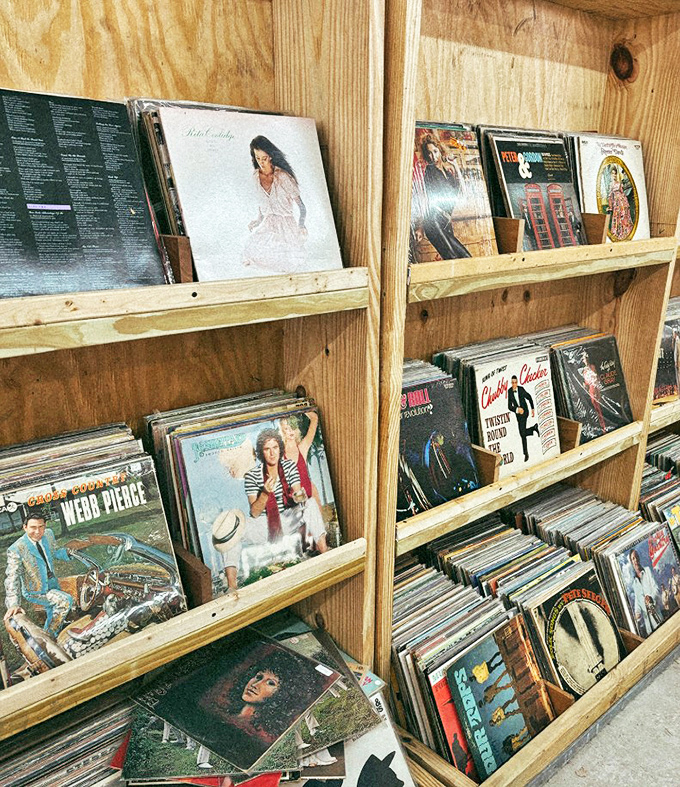 Vinyl treasures waiting to be rediscovered. Each album cover is a time machine to when music was something you could hold in your hands.
