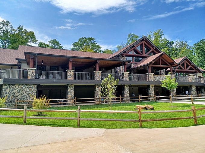 The visitor center blends rustic charm with modern amenities, like a luxury cabin that somehow sprouted in the forest when nobody was looking.