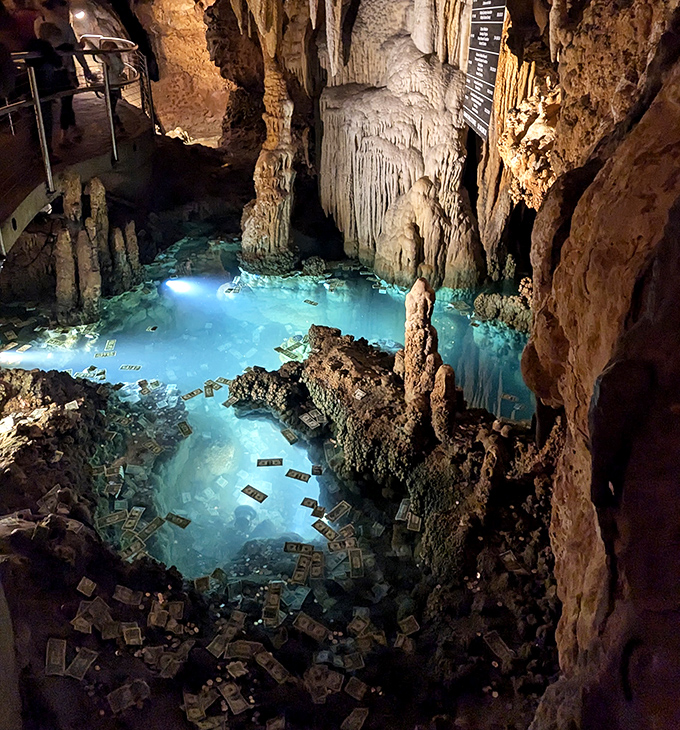 Not your average wishing well &ndash; this underground pool collects dreams, dollars, and the occasional "I can't believe we're really here" gasp.