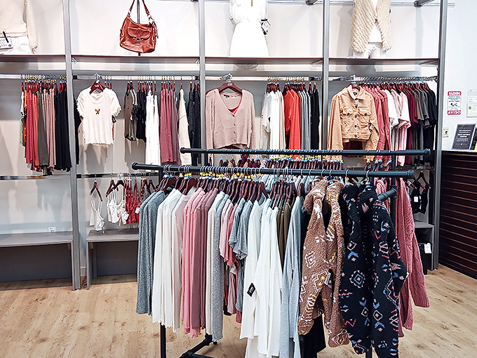 Clean lines and thoughtful organization make browsing a pleasure rather than a treasure hunt through chaos.