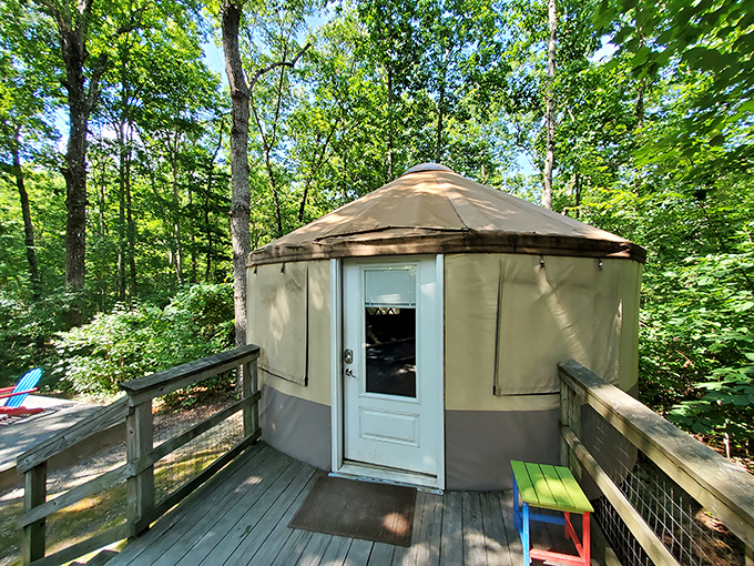 Not your average hotel room &ndash; the park's yurts offer glamping with a view and a perfect middle ground between tents and cabins.