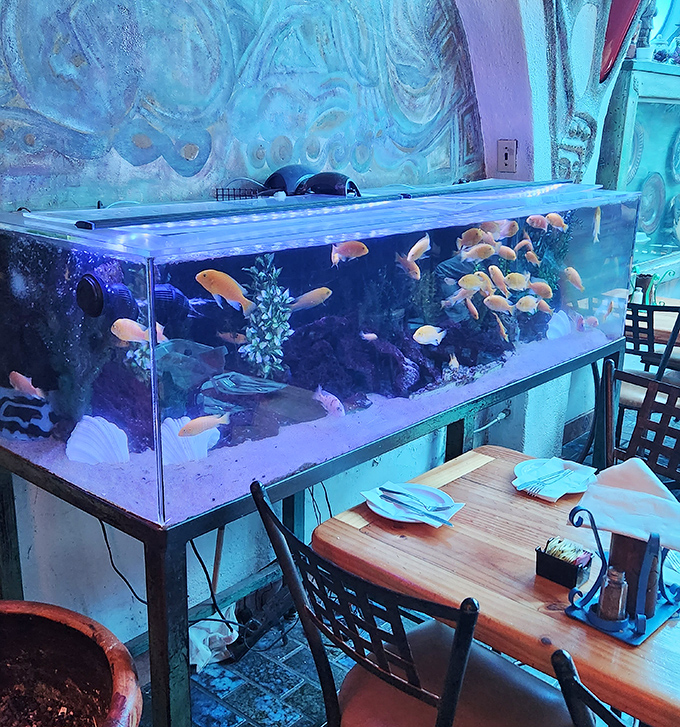 Even the fish in this aquarium look jealous of the seafood specials swimming past in the dining room.