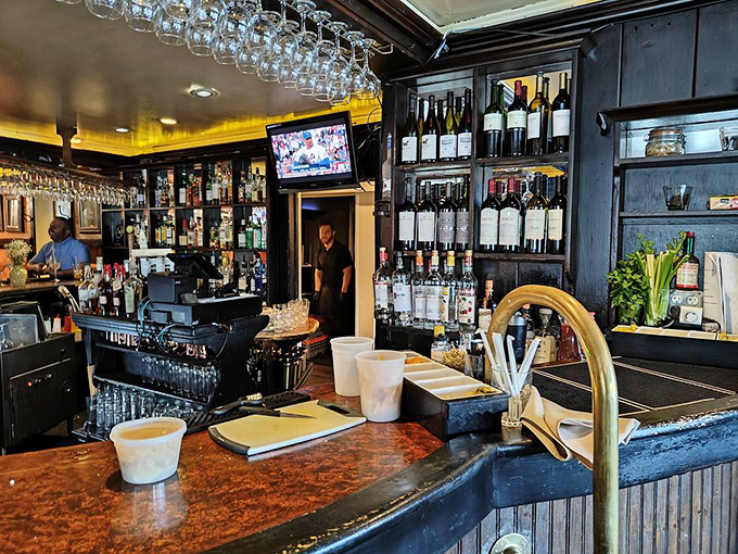 The bar gleams with promise, bottles standing at attention like soldiers ready to serve in the battle against ordinary evenings.